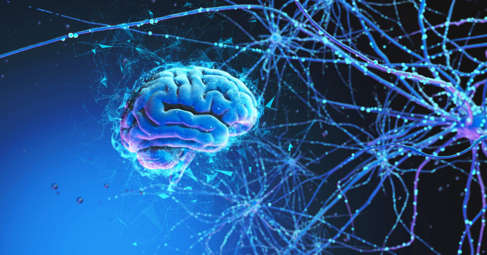 Neurális hálózatok: a kapcsolat az emberi idegrendszer és a mesterséges ...